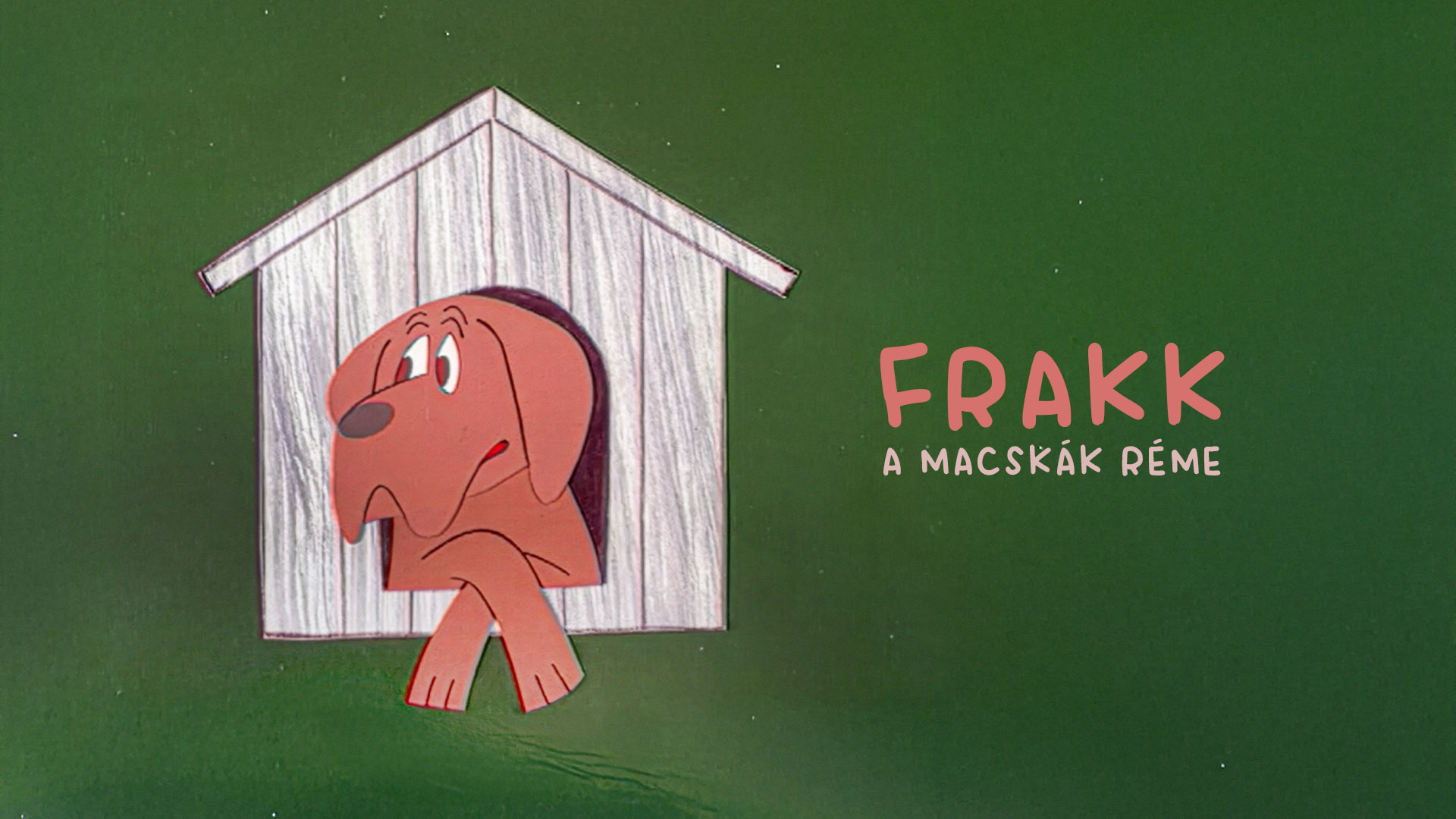 Frakk, a macskák réme | MédiaKlikk